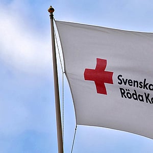 Vilket Sverige vill du se?